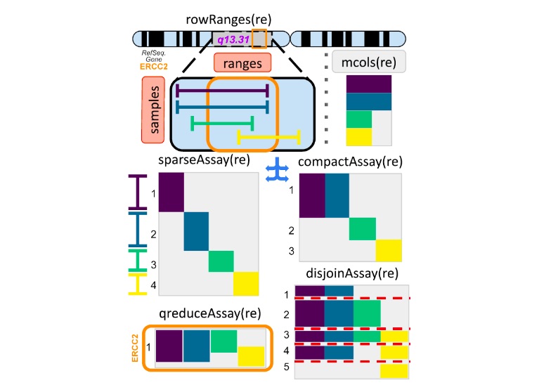 CUNY ISPH researchers publish software to facilitate lossless representation of ragged genomic ...